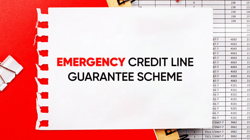 Emergency Credit Line Guarantee Scheme | Get Zype