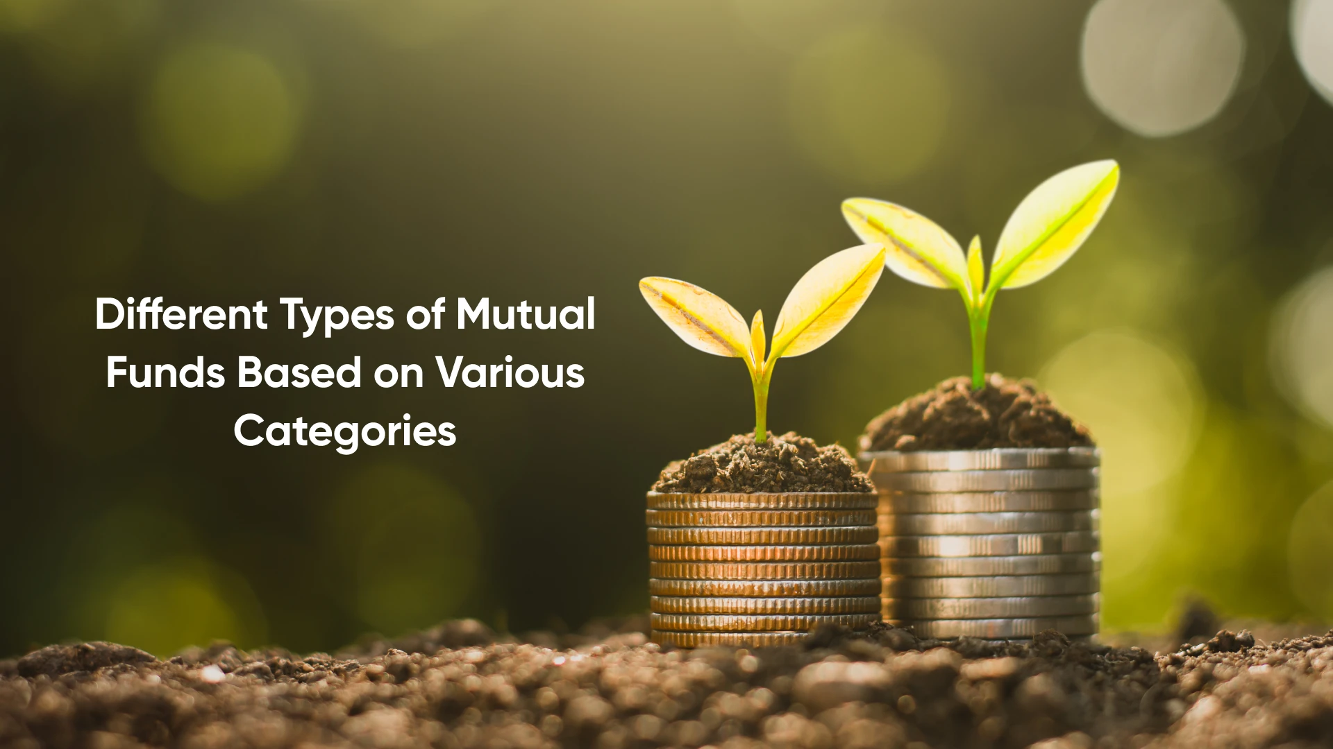 Types of Mutual Funds: Categories Explained for Every Investor
