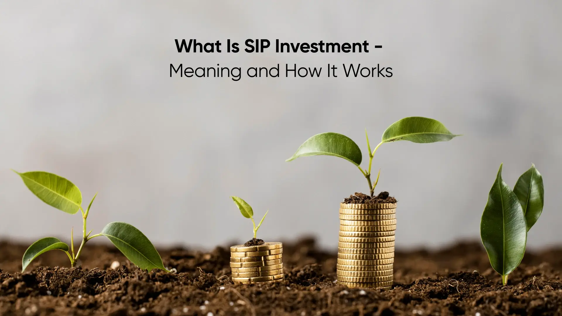 What Is SIP Investment – Meaning and How It Works