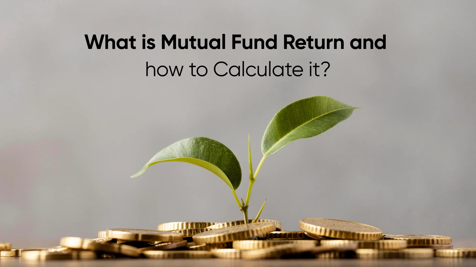 Mutual Fund Returns: What They Are & How to Calculate Them