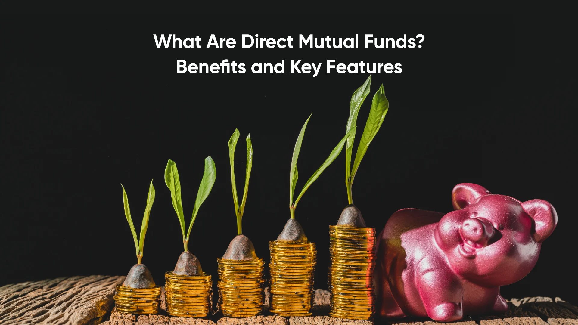 What Are Direct Mutual Funds? Benefits and Key Features