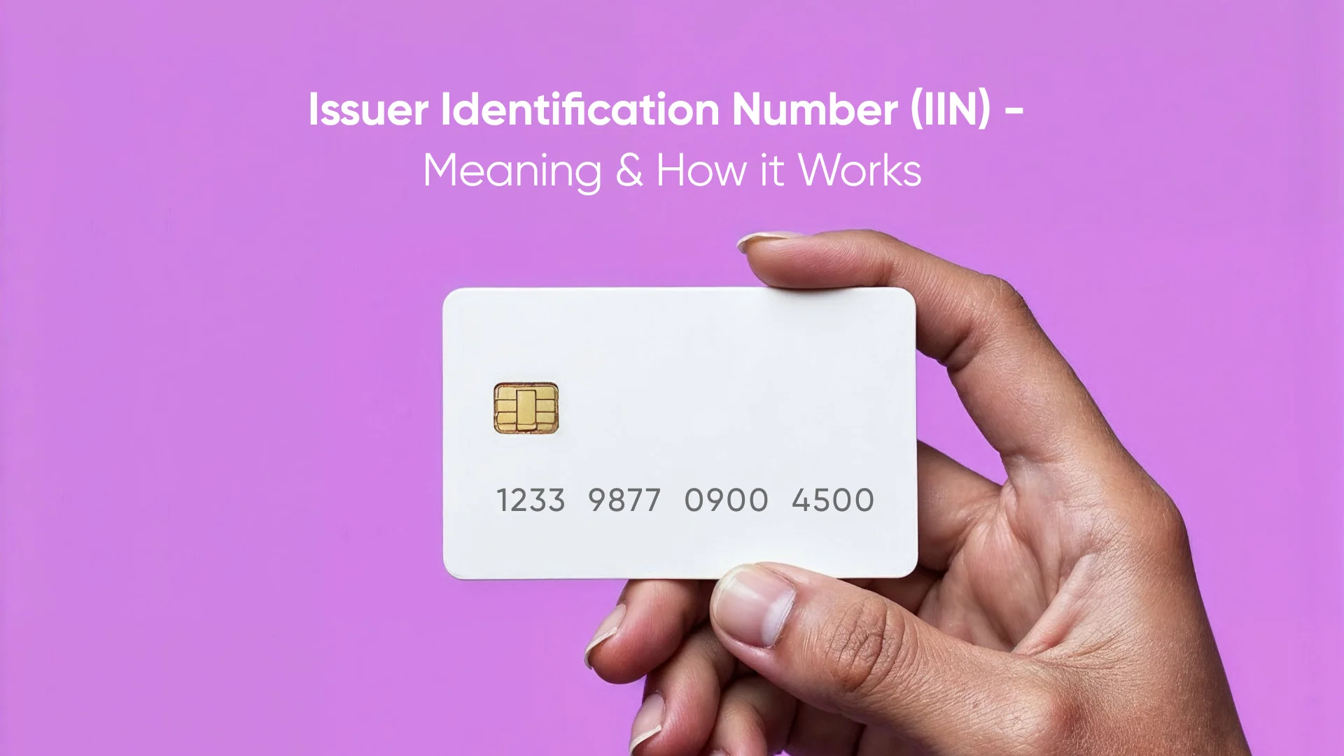 Issuer Identification Number (IIN) - Meaning & How it Works